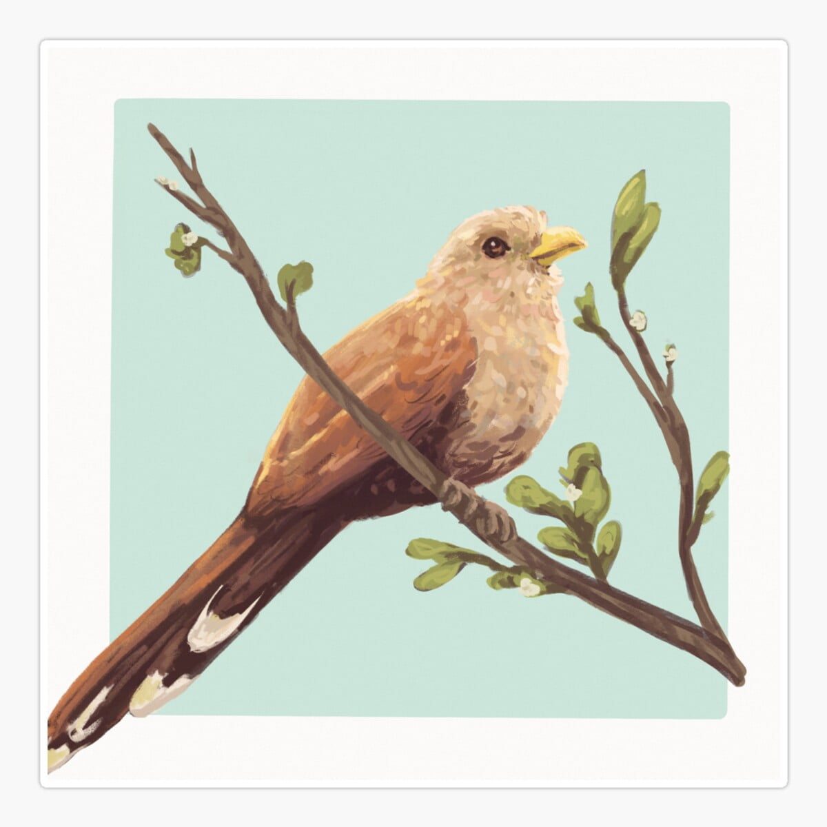 DOPASTICKER Handsome Squirrel Cuckoo Digital Bird Painting Sticker ...