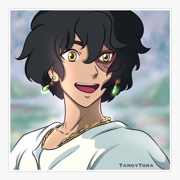 DOPASTICKER Happy Zuko Sticker, Phone Sticker Water Bottle Sticker Car ...