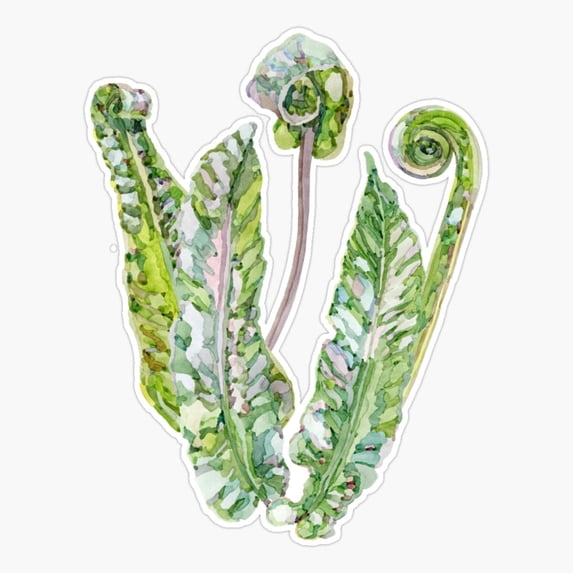 DOPASTICKER Harts Tongue Fern Sticker, Phone Sticker Water Bottle ...