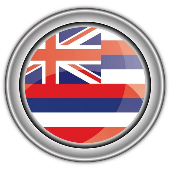 DOPASTICKER Hawaii Usa State Flag Silver Badge Car Bumper Sticker Decal ...