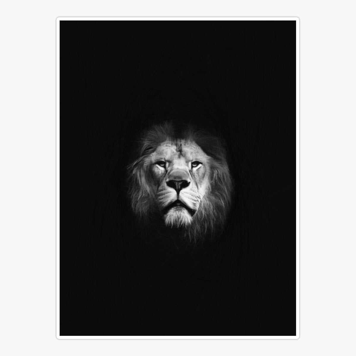 DOPASTICKER Head Of A Srong Male Lion On Black. Black And White. Image ...