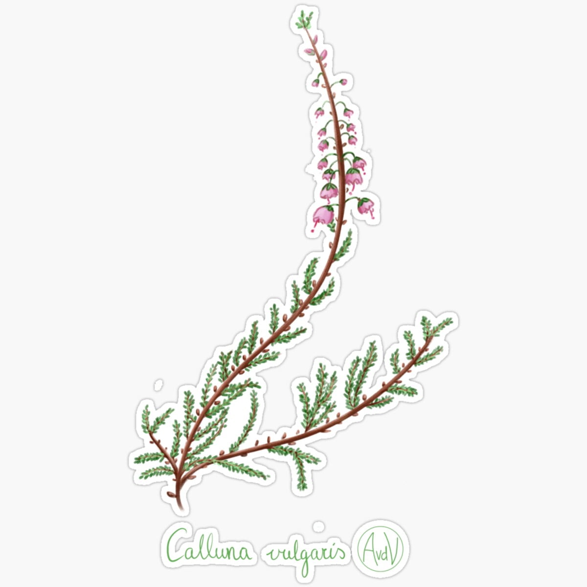 DOPASTICKER Heather Sticker Decorative Laptop, Phone Stickers ...