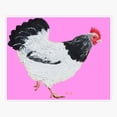 DOPASTICKER Hen Painting On Pink Background Sticker, Phone Sticker Car ...