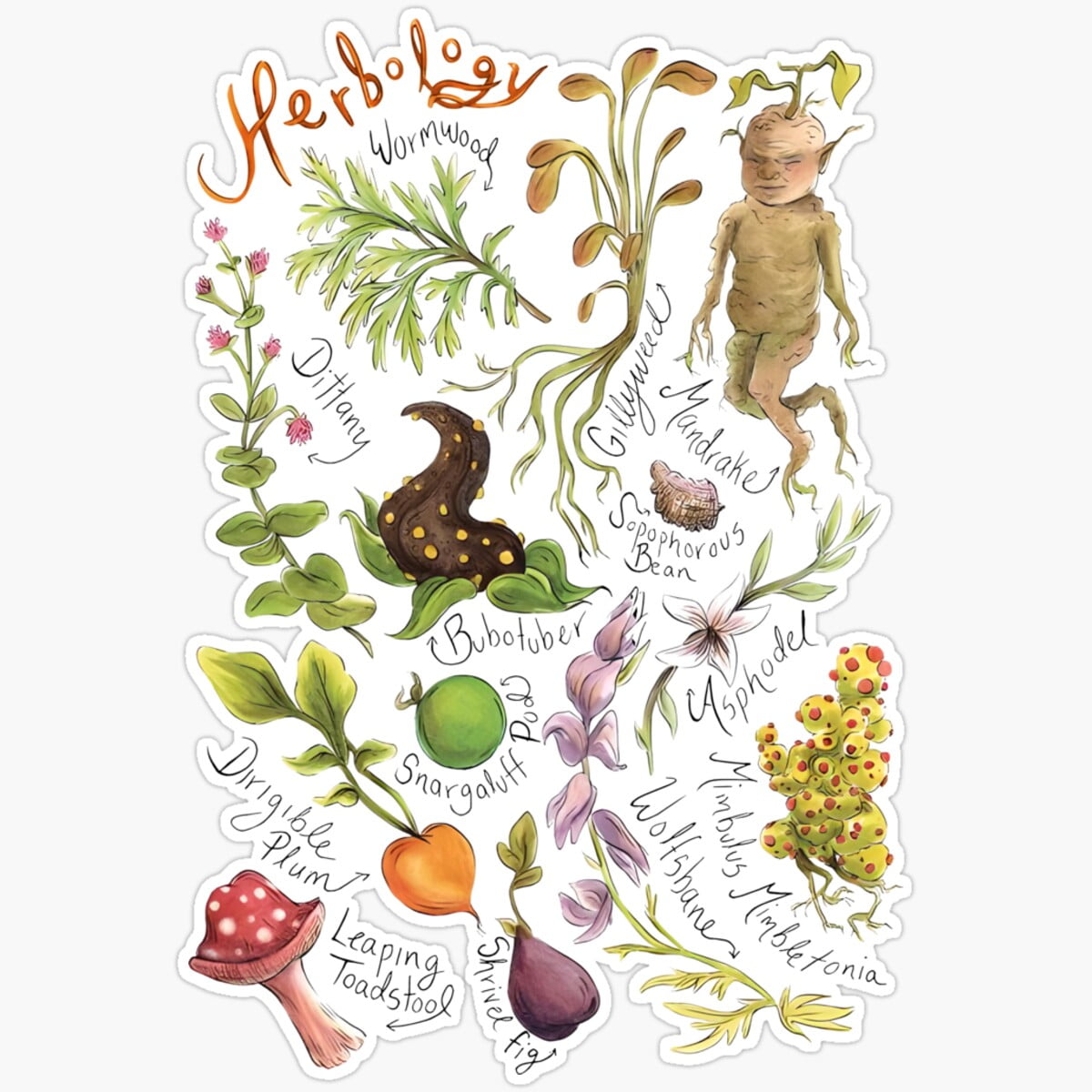 DOPASTICKER Herbology Plants Study Sticker Decorative Laptop, Phone ...