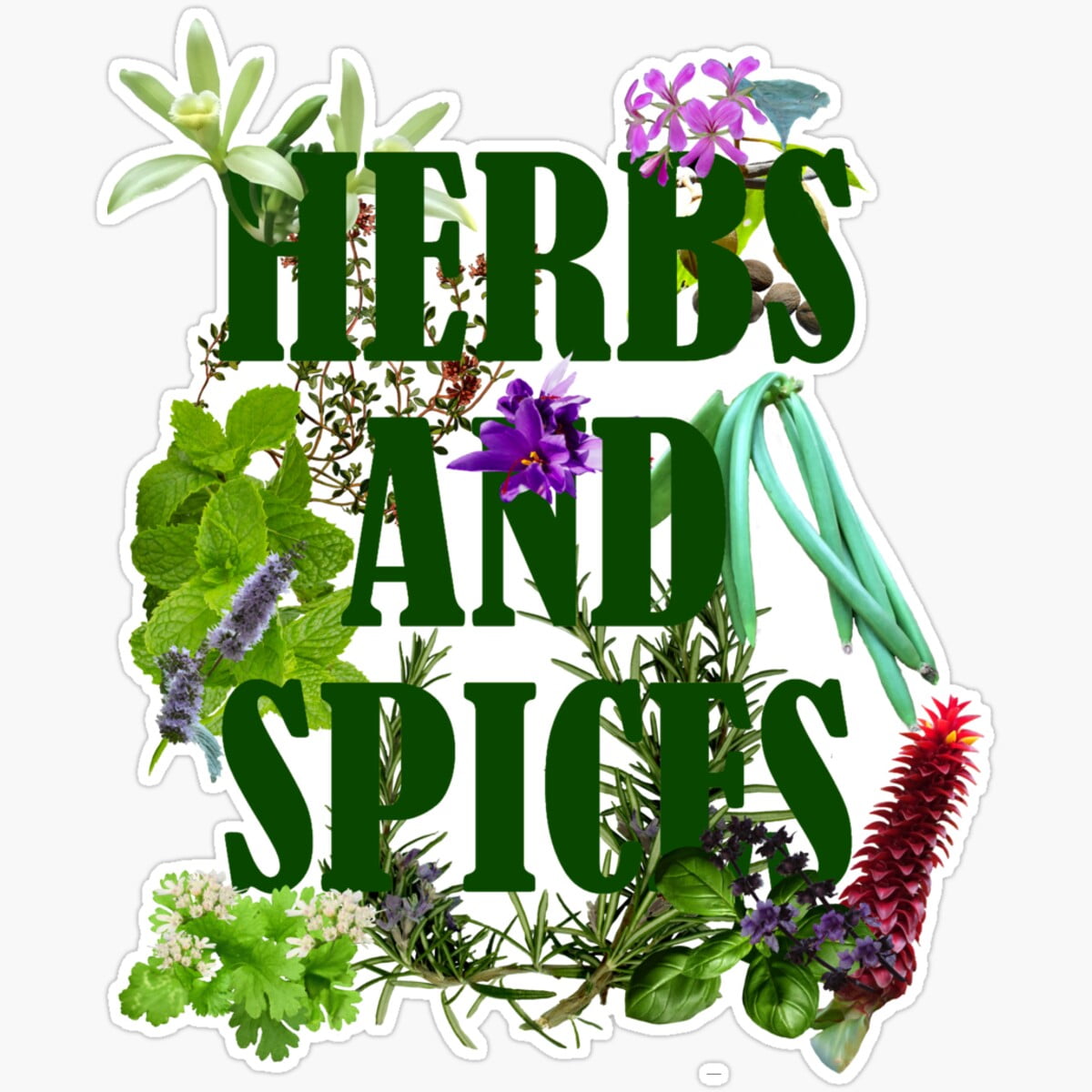DOPASTICKER Herbs And Spices Sticker Decorative Laptop, Phone Stickers ...