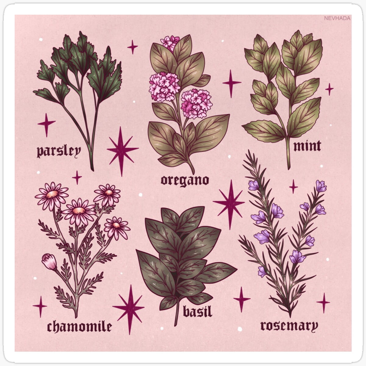 DOPASTICKER Herbs Sticker Waterproof Sticker For Water Bottles, Laptops, Notebooks - Best ...