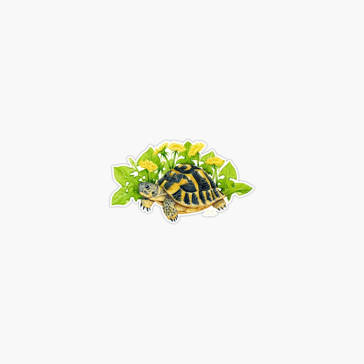 DOPASTICKER Hermann'S Tortoise Sticker, Phone Sticker Water Bottle ...