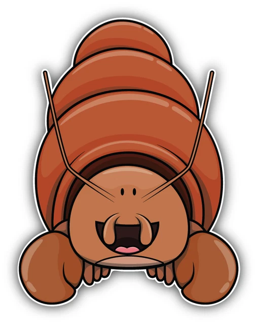 DOPASTICKER Hermit Crab Cartoon Sticker Decal Phone Decal Water Bottle ...