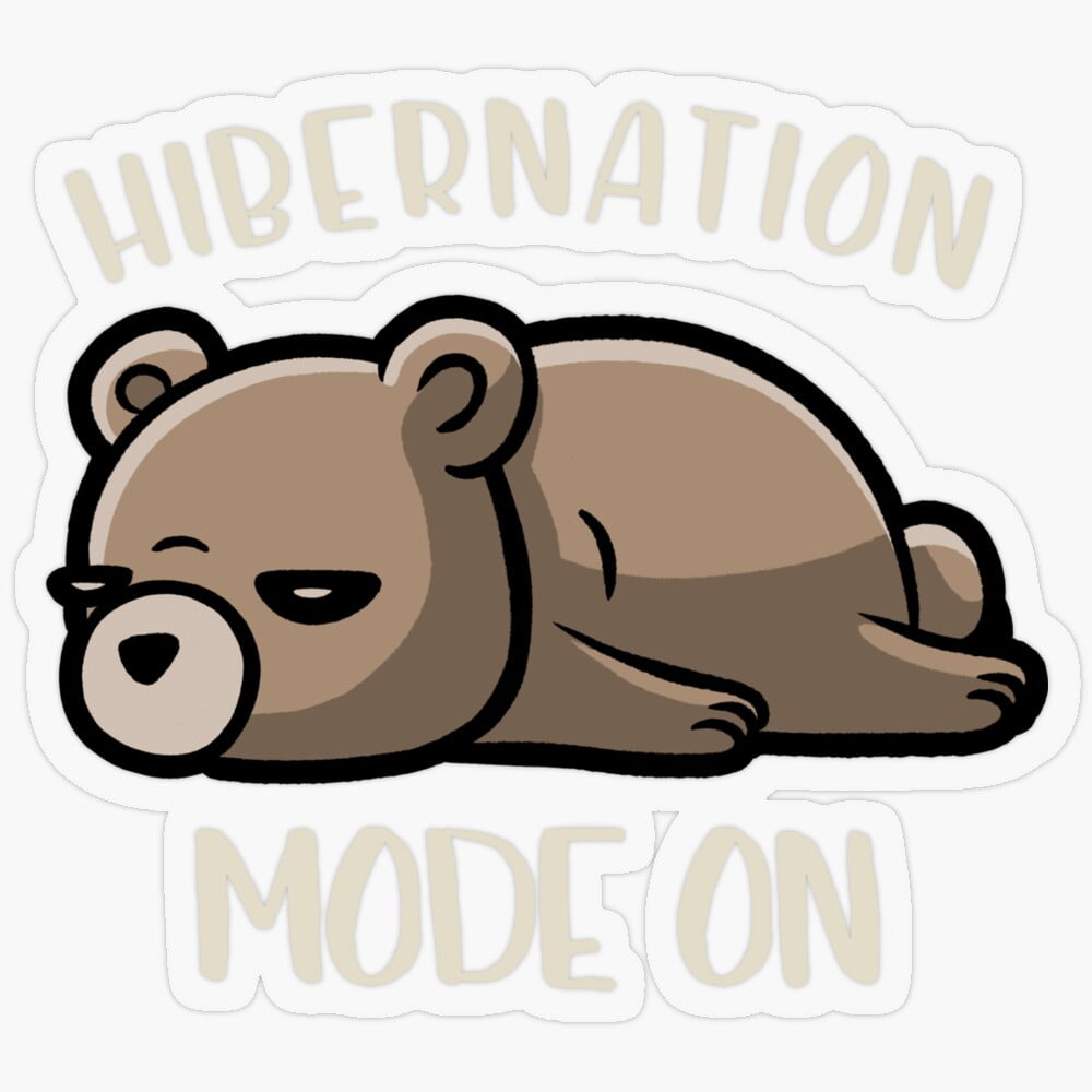 DOPASTICKER Hibernation Mode On Lazy Gift Transparent Decorative Laptop ...