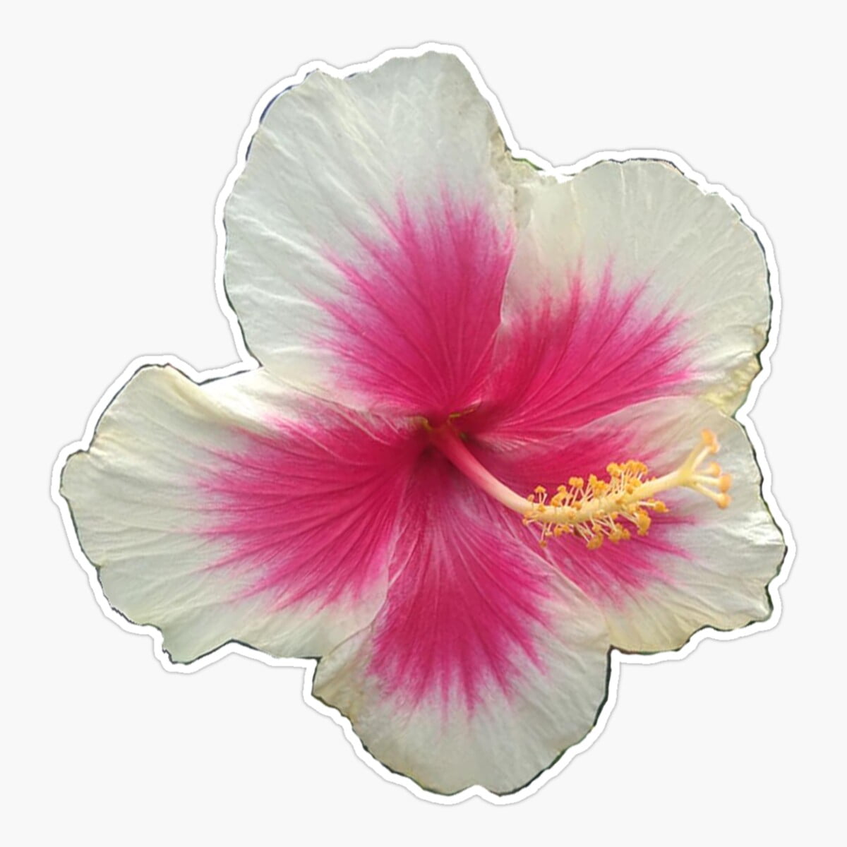 DOPASTICKER Hibiscus, Little Jolly Man Sticker, Phone Sticker Car ...
