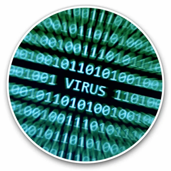 DOPASTICKER Highland Cows Cattle Farm Cow Snow Cool Gift Decorative ...