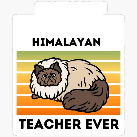 DOPASTICKER Himalayan Cat Teacher Lovers, Gift Teachers Himalayan ...