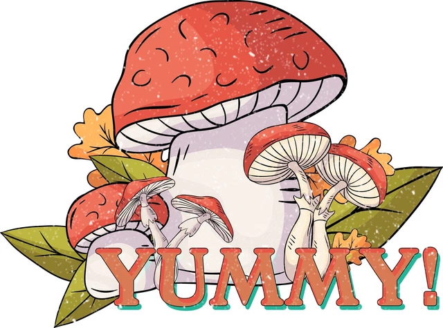 DOPASTICKER Hippie Sticker Shrooms Yummy Trippy Psychedelic Mushrooms ...