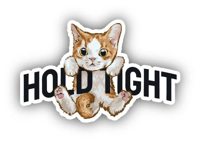 DOPASTICKER Hold Tight Sticker Phone Decal Water Bottle Stickers, Cars ...