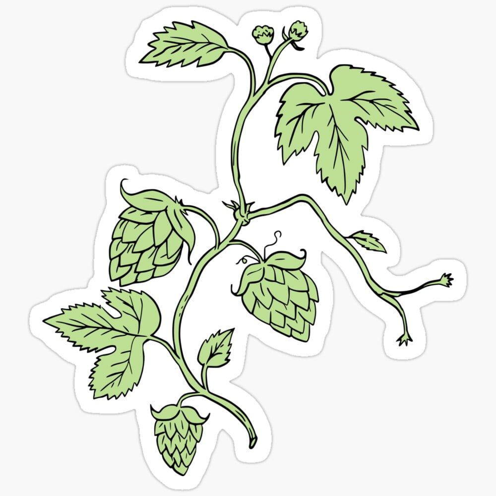 DOPASTICKER Hop Plant Climbing Drawing Sticker Phone Decal Water Bottle ...