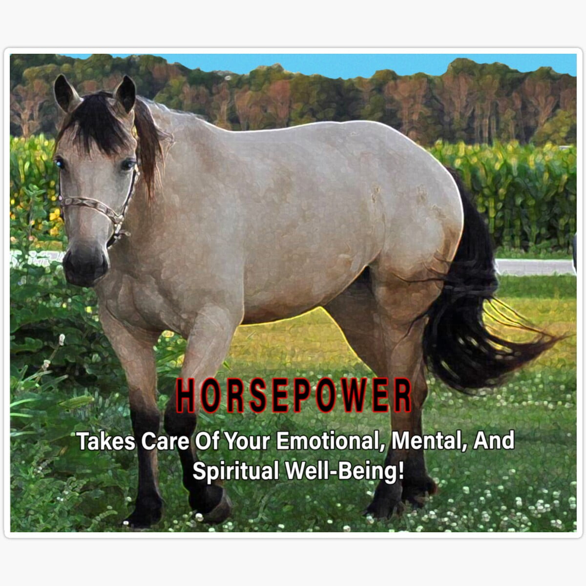 DOPASTICKER Horsepower - The Spiritual Well-Being Sticker Decorative ...