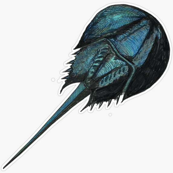 DOPASTICKER Horseshoe Crab - Blue Sticker Decorative Laptop, Phone ...