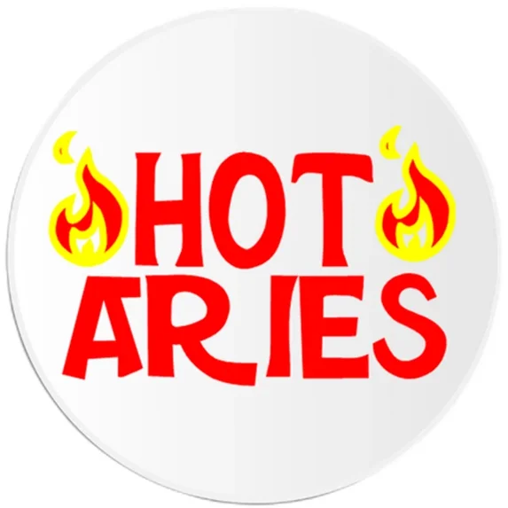 DOPASTICKER Hot Aries Sticker, Horoscope Birthday Astrology Phone Decal ...