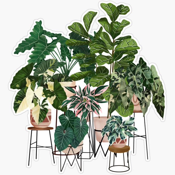 DOPASTICKER House Plants 26 Sticker, Phone Sticker, Latop Sticker ...