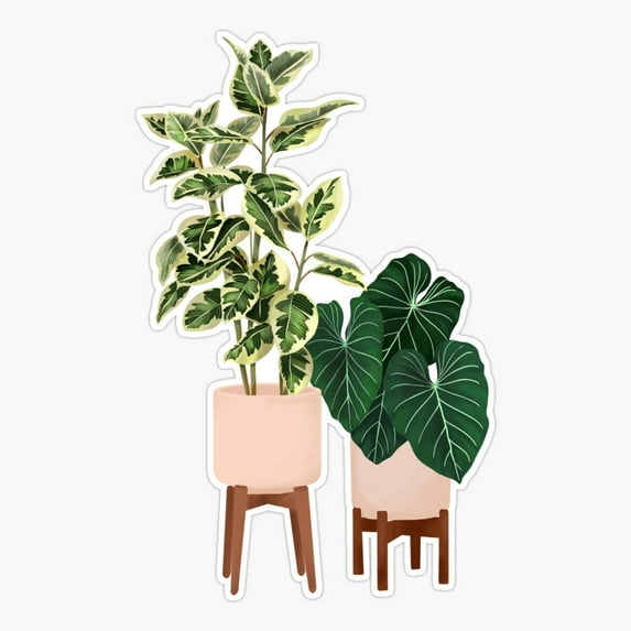 DOPASTICKER House Plants Illustration 29 Sticker, Phone Sticker Car ...