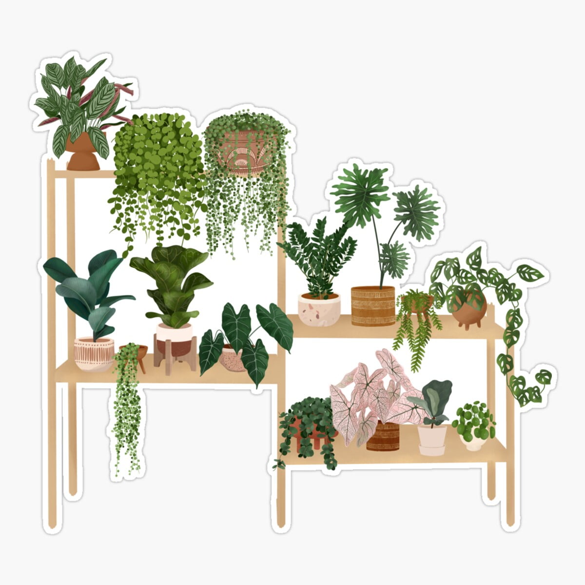 DOPASTICKER House Plants Illustration 37, Plant Shelf Art Sticker ...