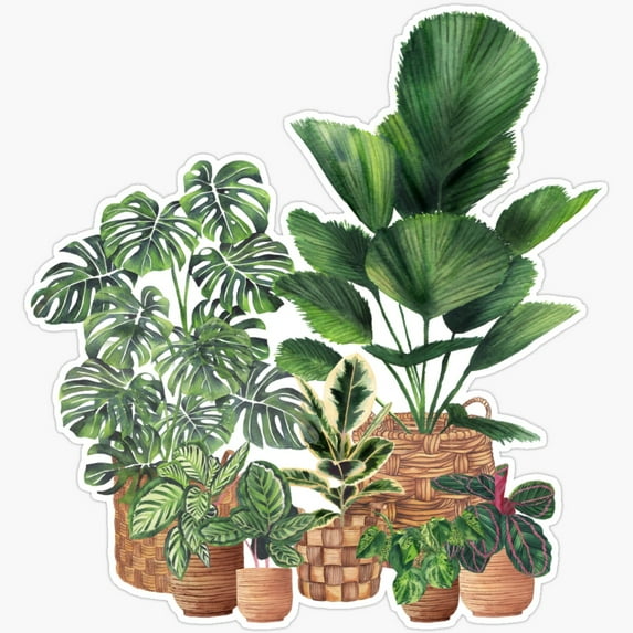 DOPASTICKER House Plants Illustration 8 Sticker Decorative Laptop ...