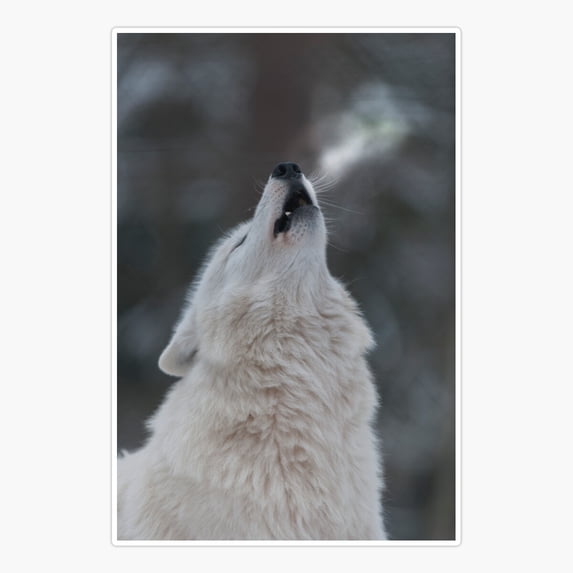 DOPASTICKER Howling Arctic Wolf Sticker, Phone Sticker Car Stickers ...