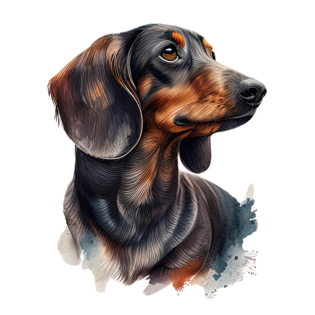 DOPASTICKER Huge Dachshund Car Sticker Dog Sticker Phone Sticker, Latop ...