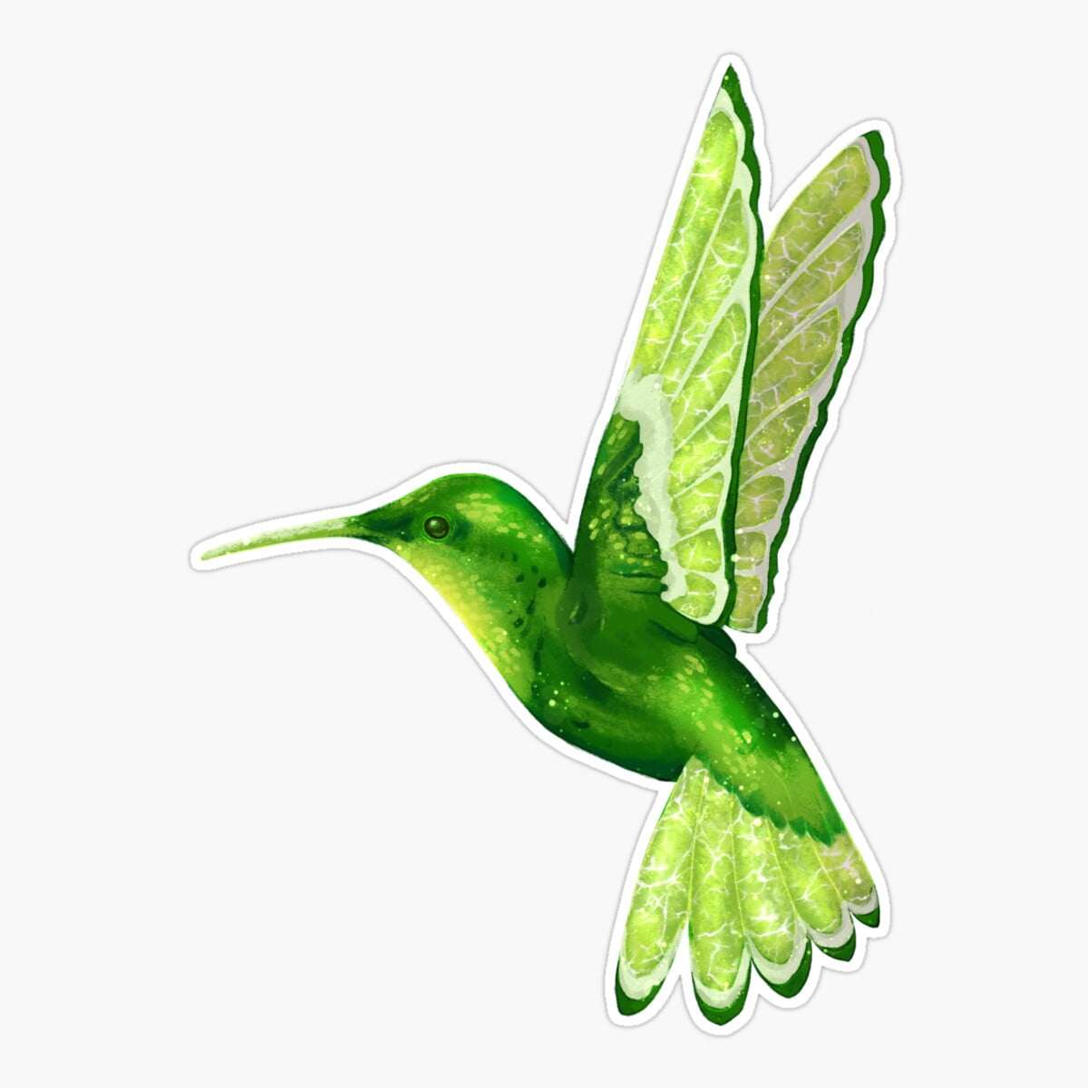 DOPASTICKER Humming Limebird Sticker, Phone Sticker Water Bottle ...