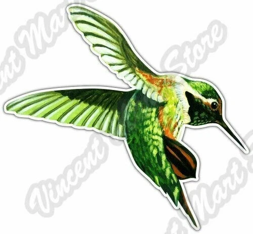 DOPASTICKER Hummingbird Altitude Bird Flying Car Window Sticker Decal ...