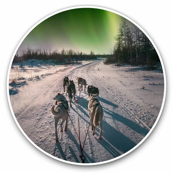 DOPASTICKER Husky Dogs Aurora Borealis Cool Gift Decorative Laptop ...
