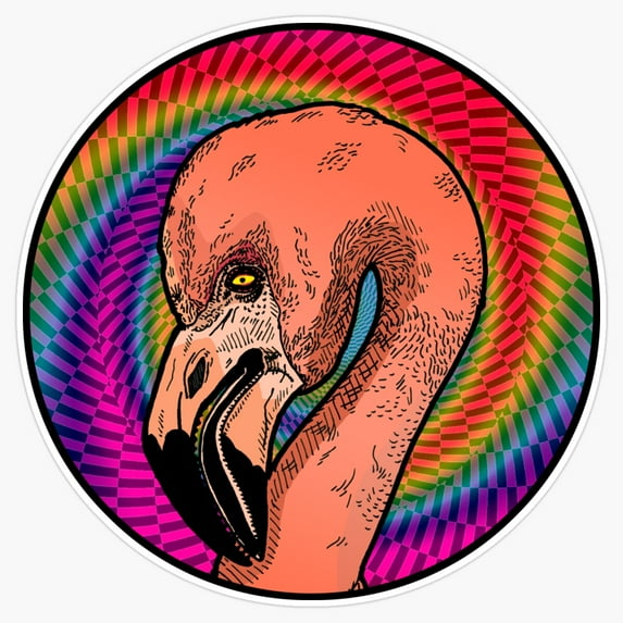 DOPASTICKER Hypno Flamingo Sticker, Phone Sticker Water Bottle Sticker ...