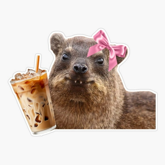 DOPASTICKER Hyrax With Iced Coee Sticker, Phone Sticker Water Bottle ...