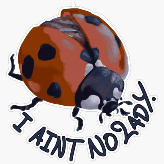 DOPASTICKER I Aint No Lady. Sticker Decorative Laptop, Phone Stickers ...