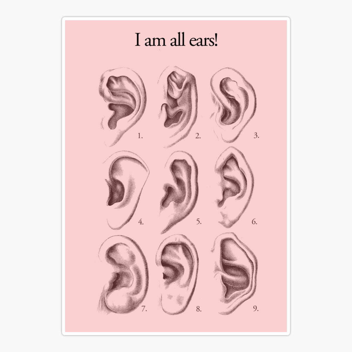 DOPASTICKER I Am All Ears, Eager To Hear And A Good Listener. Sticker ...
