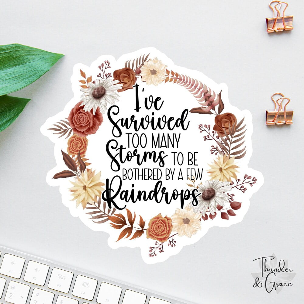 DOPASTICKER I Am The Storm Stickers, Therapist Gift, Laptop Sticker ...