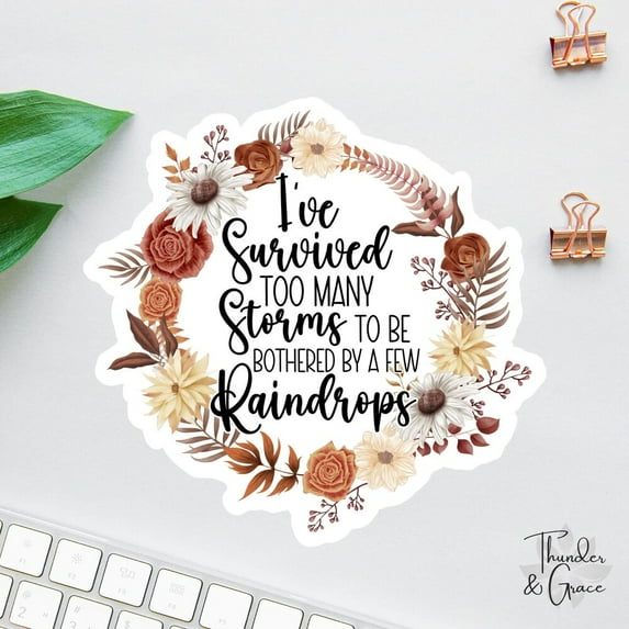 DOPASTICKER I Am The Storm Stickers, Therapist Gift, Laptop Sticker ...