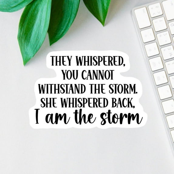 DOPASTICKER I Am The Storm Warrior Feminist Quote Sticker Phone Sticker ...