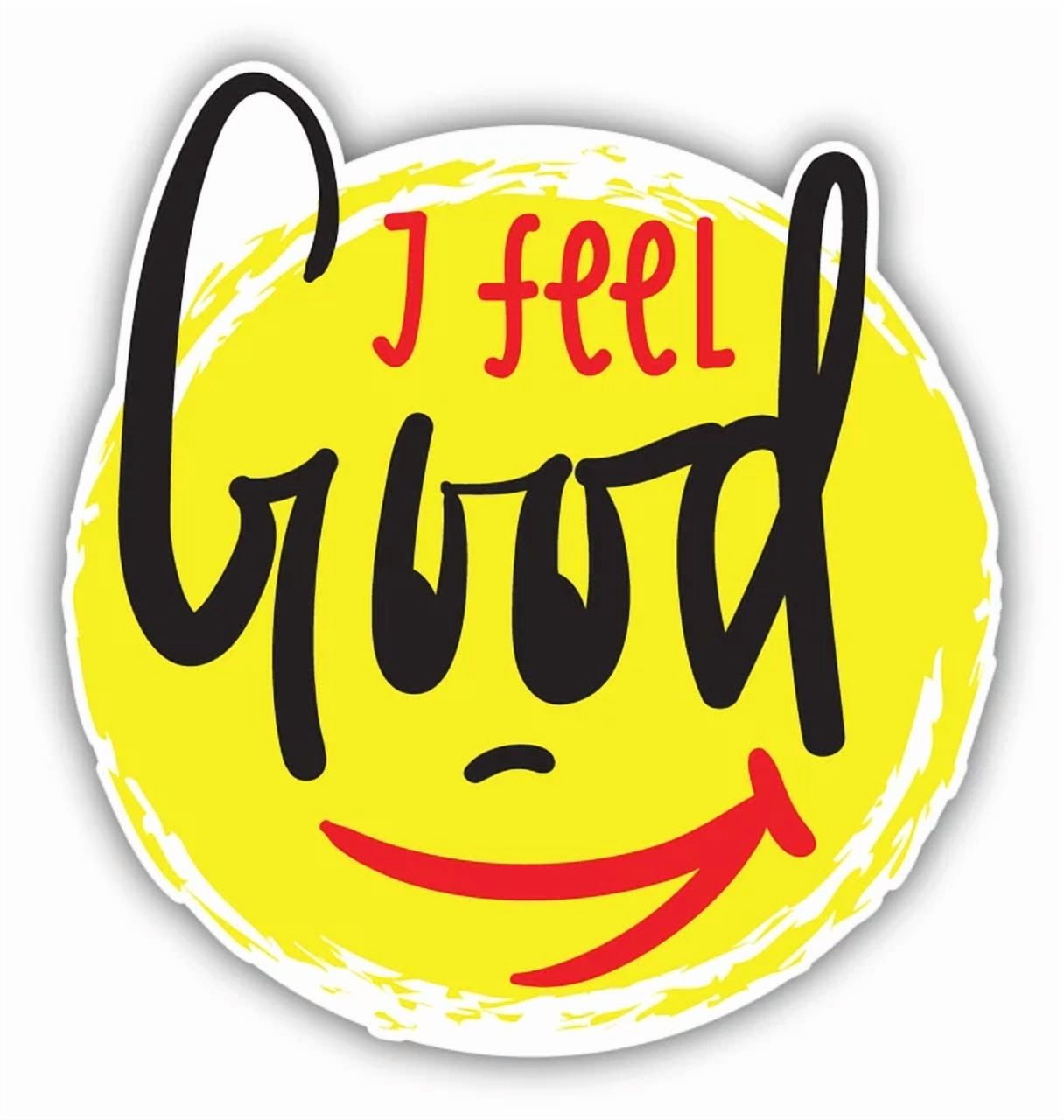 DOPASTICKER I Feel Good Smiley Sticker Decal Phone Decal Water Bottle ...