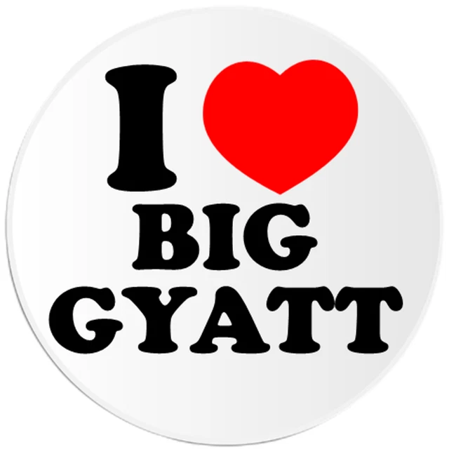 DOPASTICKER I Love Big Gyatt, Rizz Phone Decal Water Bottle Stickers ...