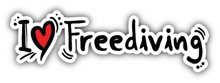 DOPASTICKER I Love Freediving Car Bumper Sticker Decal Gift You ...