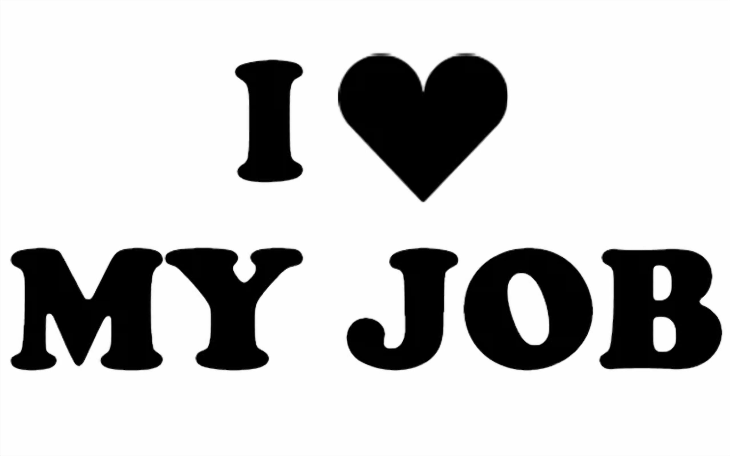 DOPASTICKER I Love My Job Stickers Phone Decal Water Bottle Stickers ...