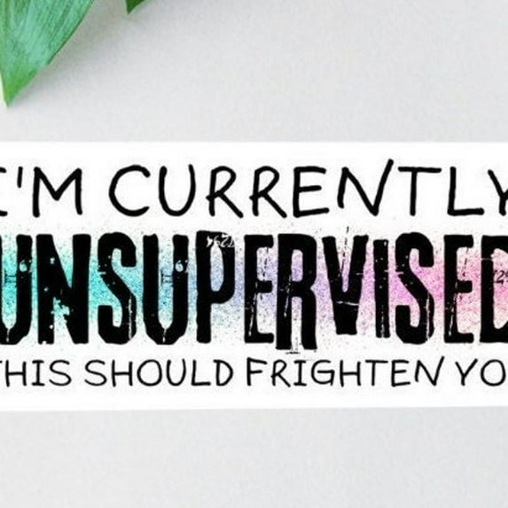 DOPASTICKER I'M Currently Unsupervised Sticker, Laptop Stickers ...