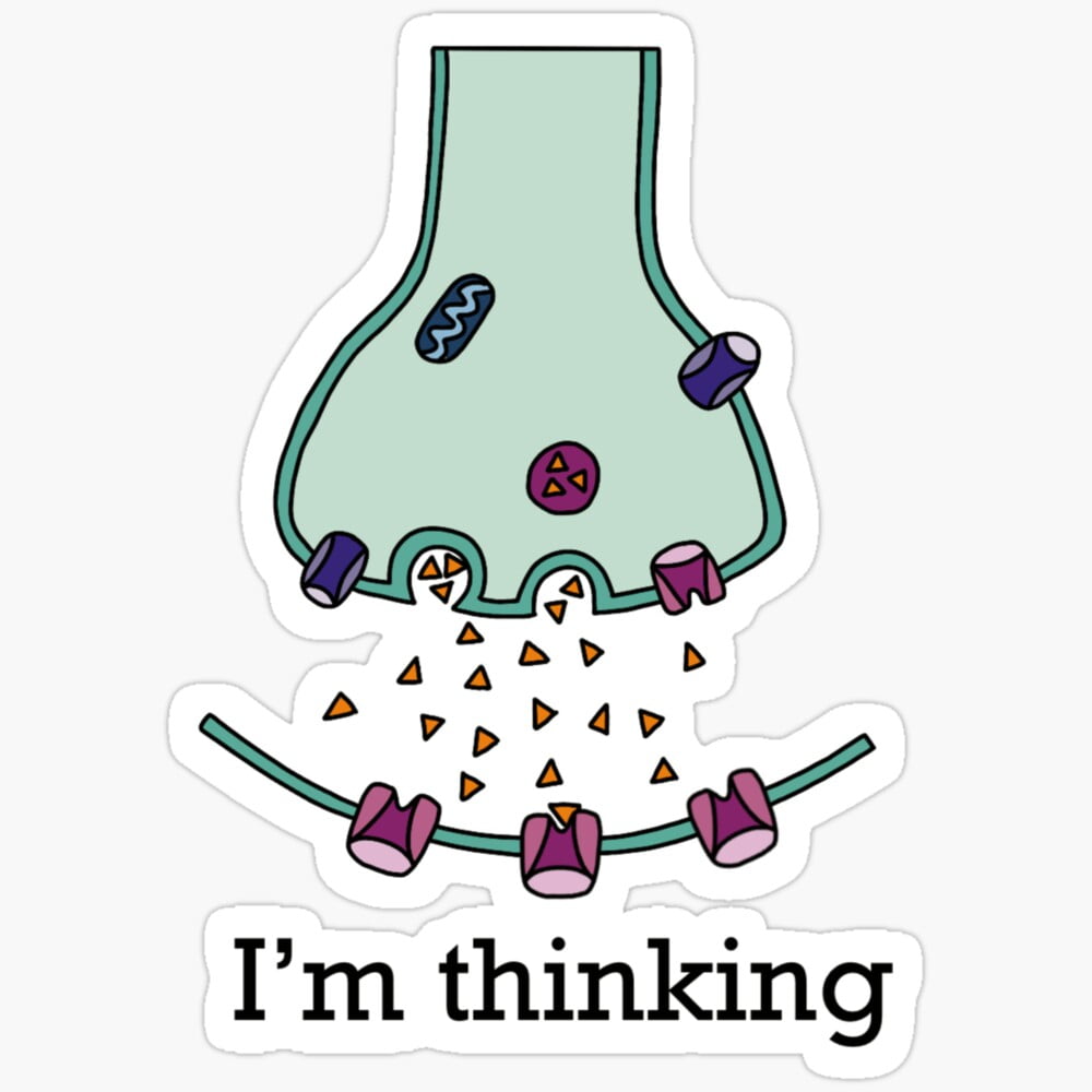 DOPASTICKER I'M Thinking Perfect Gift Everyone Phone Decal Water Bottle ...