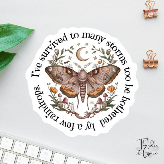 DOPASTICKER I'Ve Survived Too Many Storms Stickers, Warrior Quote ...