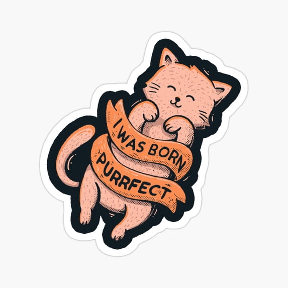 DOPASTICKER I Was Born Perfect - Hot Trending Sticker Phone Decal Water ...