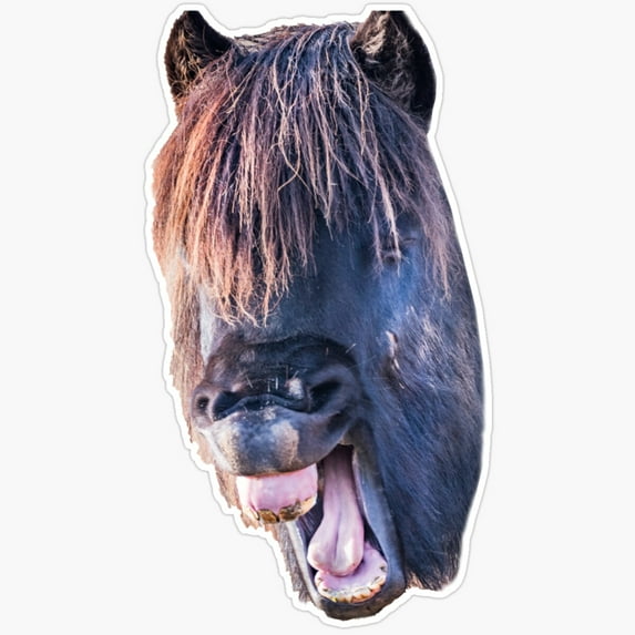 DOPASTICKER Icelandic Stallion Laughs Sticker Decorative Laptop, Phone ...