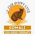 DOPASTICKER If You Don'T Like Somali You Need Therapy, Somali Sticker ...