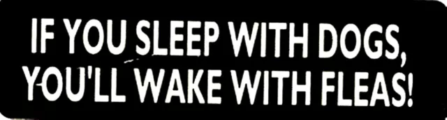 DOPASTICKER If You Sleep With Dogs, You'Ll Wake With Fleas! Sticker ...