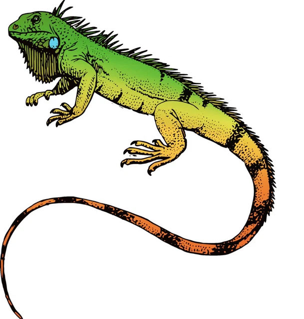 DOPASTICKER Iguana Sticker Colorful Change Green Lizard Gecko Pet ...